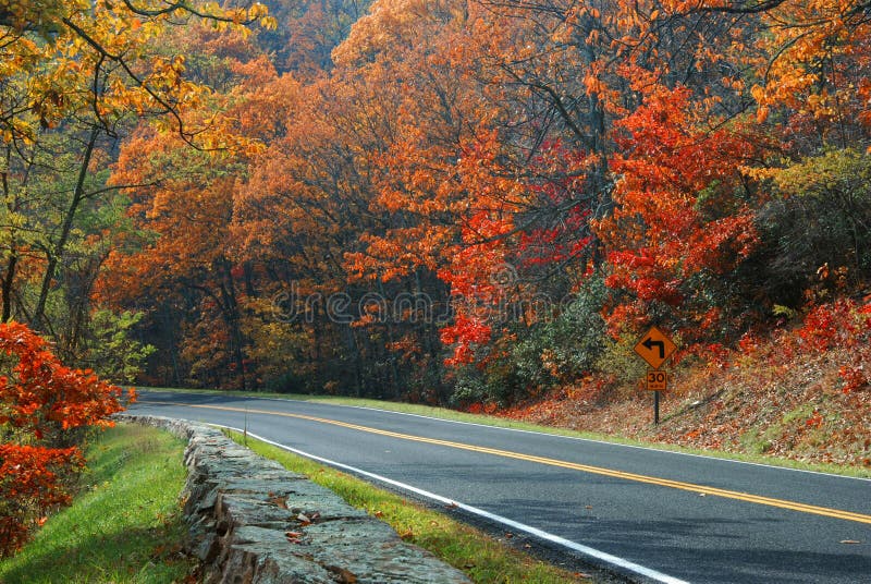 Fall Colors, Skyline Drive stock image. Image of states - 12241465