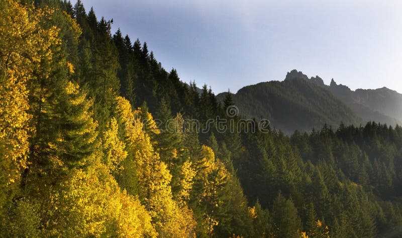 Fall Colors Stevens Pass Leavenworth Washington Stock Image - Image of ...