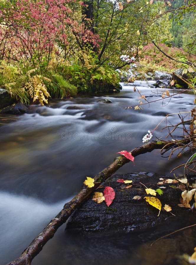 Fall Colors on the Stream stock photo. Image of colors - 101520342