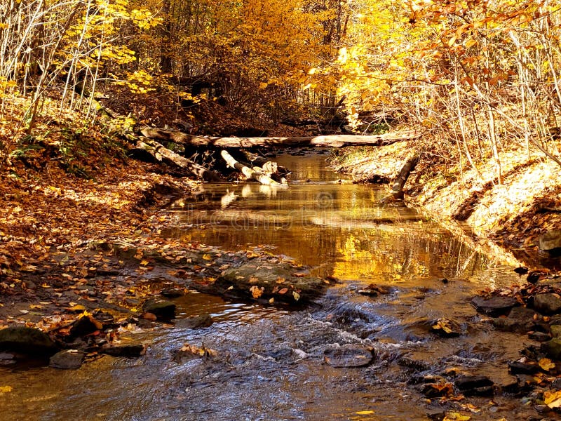 Fall colors stock photo. Image of streams, colors, fall - 130760132