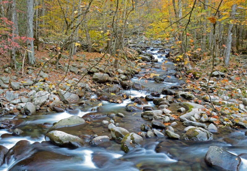 Fall Colors Surround a Small White Water Stream in Fall. Stock Image ...