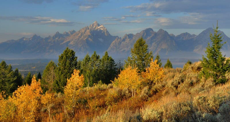 Fall Colors, the Tetons stock photo. Image of teton, foliage - 11684482