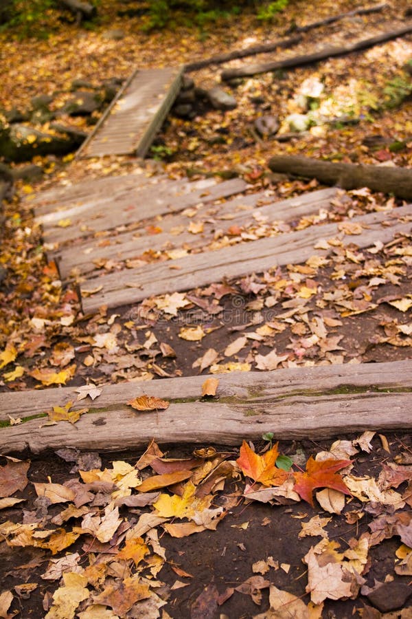 Fall Colors on the Trail stock image. Image of woods, wooden - 6898457
