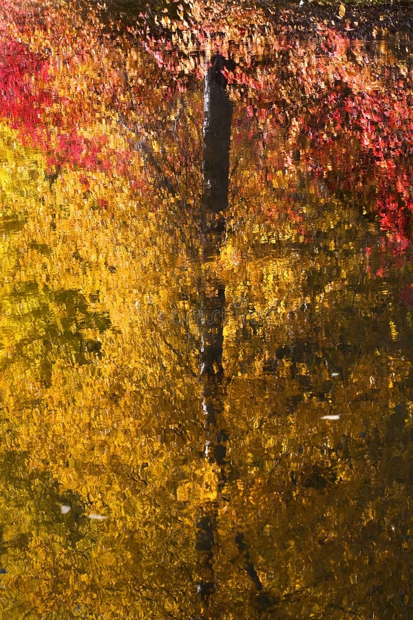 Fall Colors Tree Reflections Abstract Stock Image - Image of seasonal ...