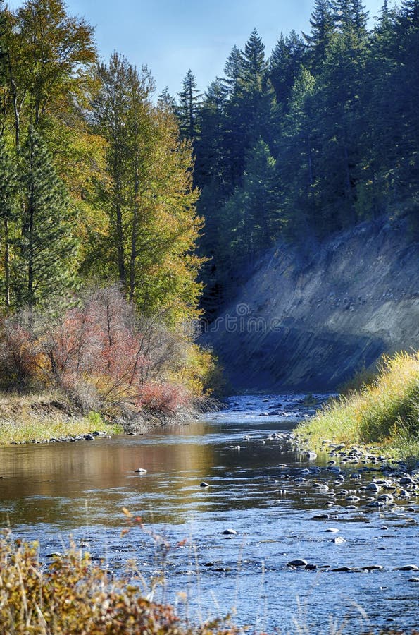 Fall Colors of Trees Along a Stream Stock Image - Image of adventure ...