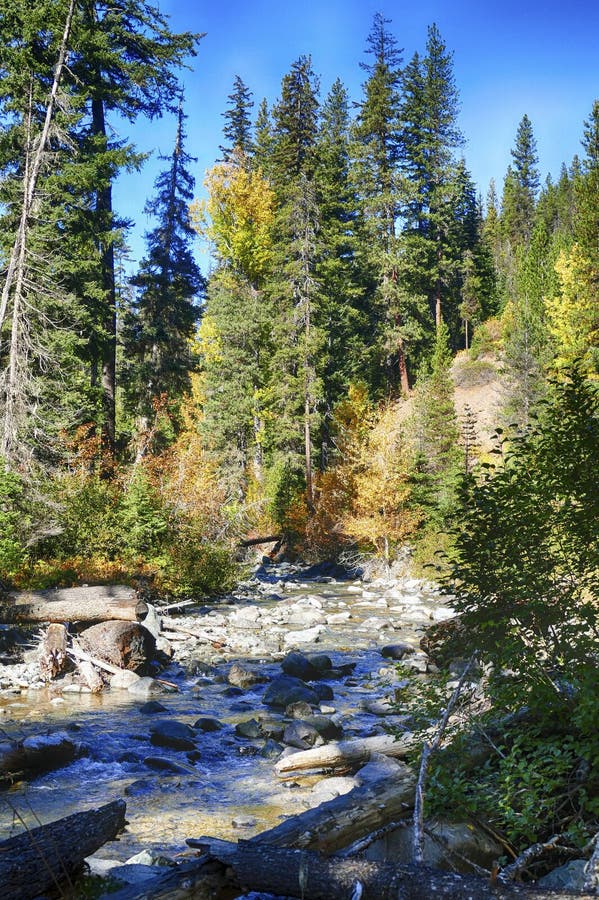 Fall Colors of Trees Along a Stream Stock Image - Image of creek, river ...