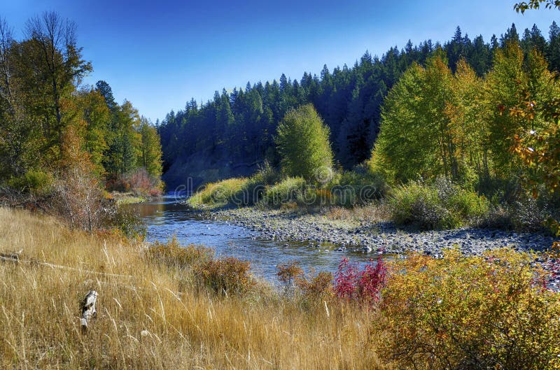 Fall Colors of Trees Along a Stream Stock Photo - Image of river ...