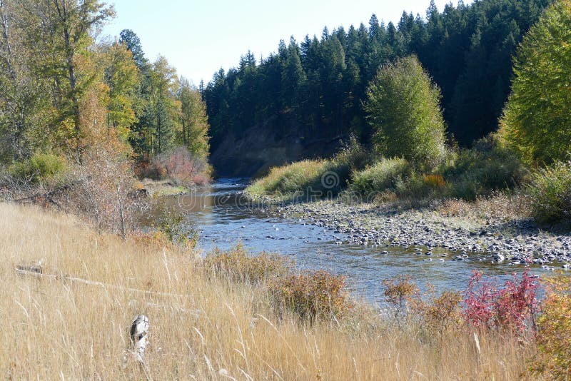 Fall Colors of Trees Along a Stream Stock Image - Image of high, rock ...