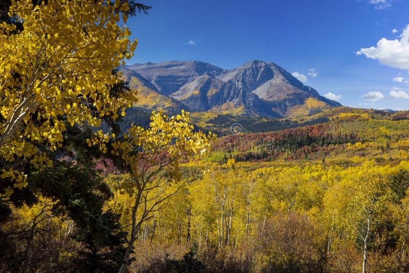 Fall Colors in the Utah Mountains Stock Image - Image of autumn, aspen ...