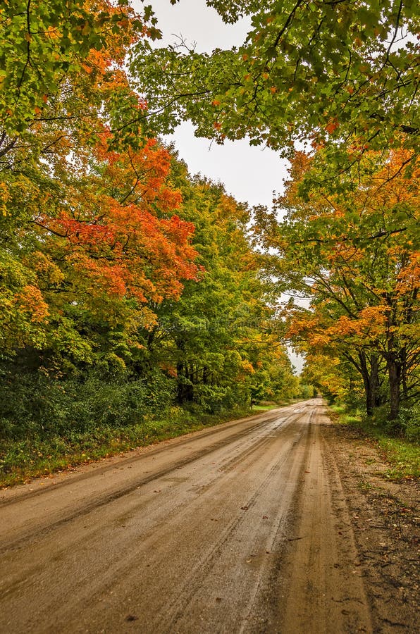 Fall Colors in Various Stages Along a Dirt Road Stock Photo - Image of ...