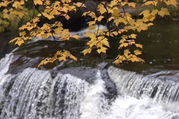 Fall Colors, Waterfall, Scenic Landscape Stock Photo - Image of falls ...