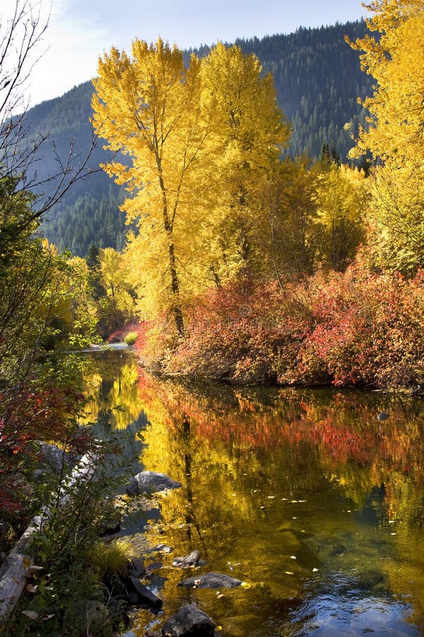 Fall Colors Wenatchee River Relections Stock Image - Image of river ...
