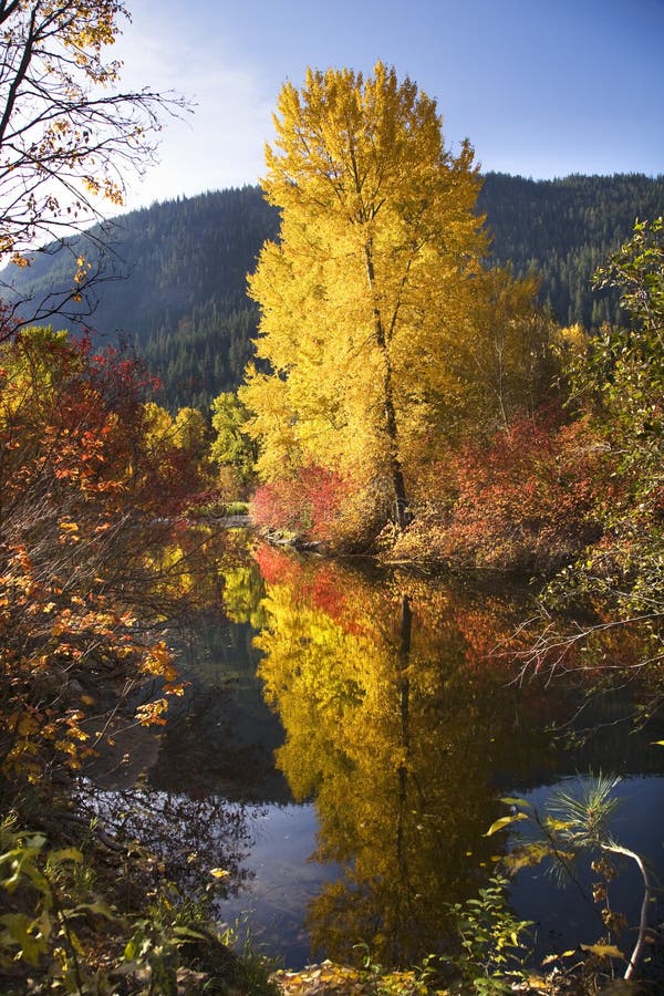 Best Places In Washington State For Fall Colors at Sandra Raines blog