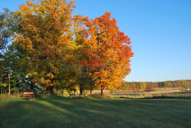 Fall colors in Wisconsin stock image. Image of maple - 60854409