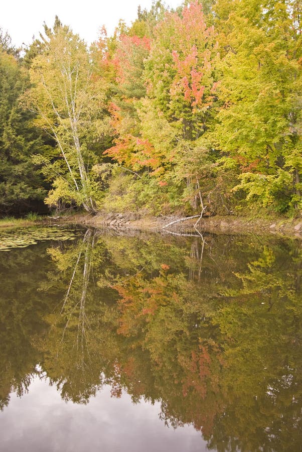 Fall Colour Reflection on Water Stock Photo - Image of thanksgiving ...