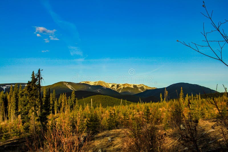 Fall Colours Adorn the Backcountry. Clearwater County, Alberta, Canada ...