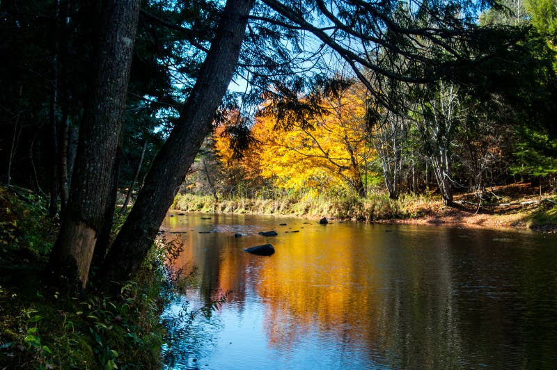 Fall Colours Along a Stream Stock Photo - Image of season, foliage ...