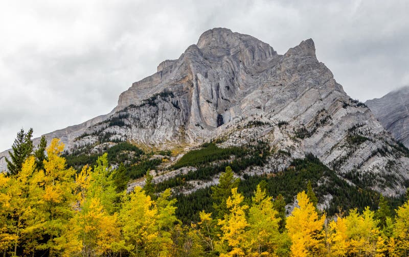 Fall Colours Dot the Badlands. Tolman Badlands Heritage Rangeland ...