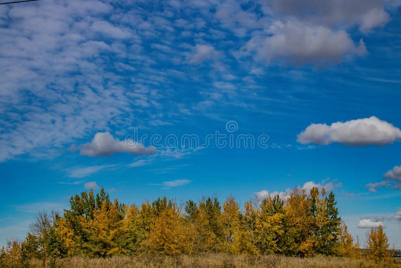 Fall Colours on Display in the Fields Around Calgary Stock Image ...