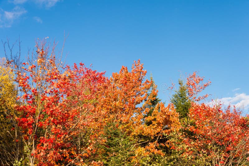 Fall Colours in the Eastern Townships Stock Photo - Image of woods ...
