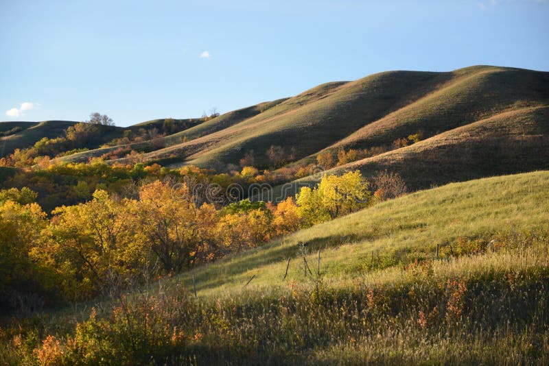 Fall colours stock image. Image of landscape, saskatchewan - 240572599