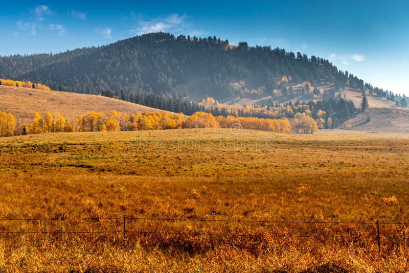 Fall Colours in Farmers Fields. MD of Big Horn, Alberta, Canada Stock ...