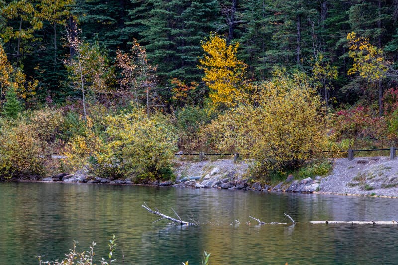 Fall Colours at Mount Lorette Ponds. Bow Valley Wilderness Area ...