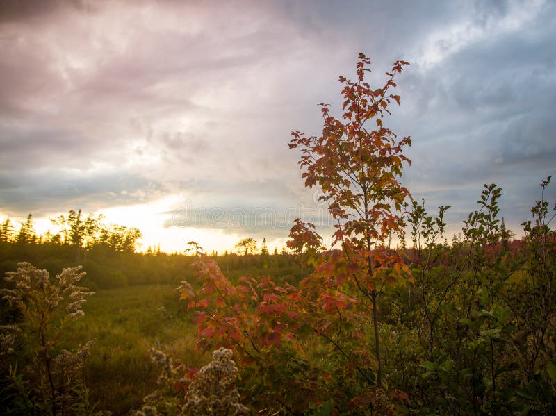 Fall Colours Prince Edward Island Stock Photo - Image of foliage ...