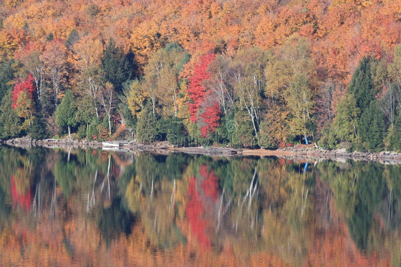 Fall Colours Reflecting Over Calm Lake in Ontario Stock Photo - Image ...
