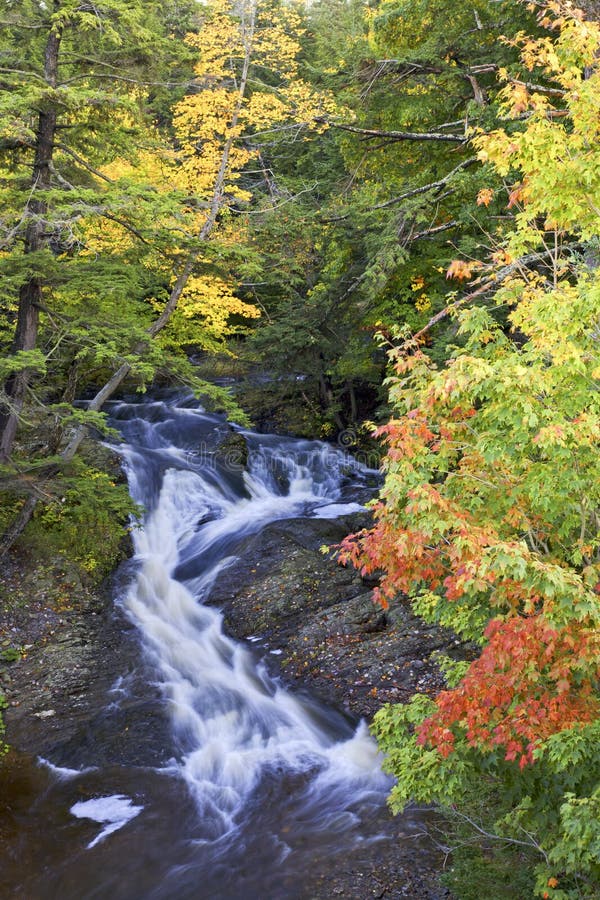 Fall colours by a stream stock photo. Image of nova - 117914734