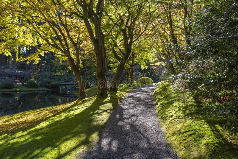 Sunlight Colored Leaves in a Zen Garden with Bridge Stock Photo - Image ...