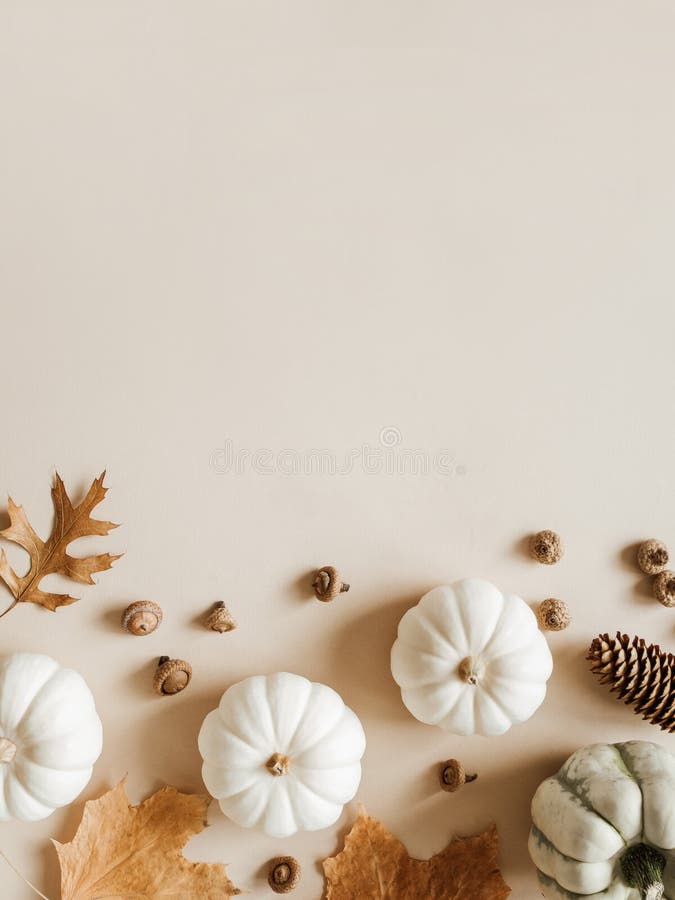 Fall Composition with Different Leaves, Pumpkins, Acorns on Beige ...
