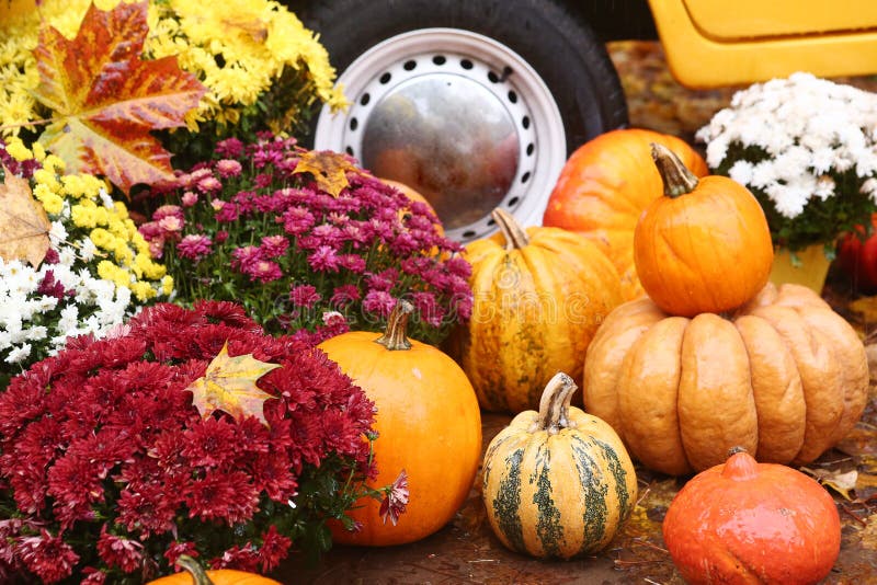 Fall Composition with Old Van, Pumpkin, Flowers and Yellow Leafs on the ...