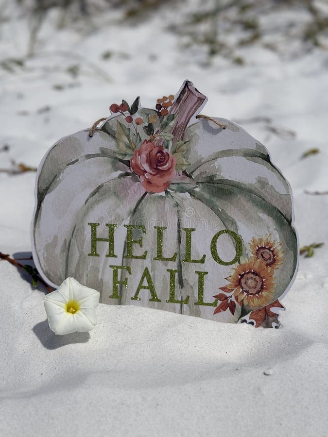 Fall Concept with Hello Fall Sign on Beach Sand Stock Photo - Image of sand, autumn: 402634408