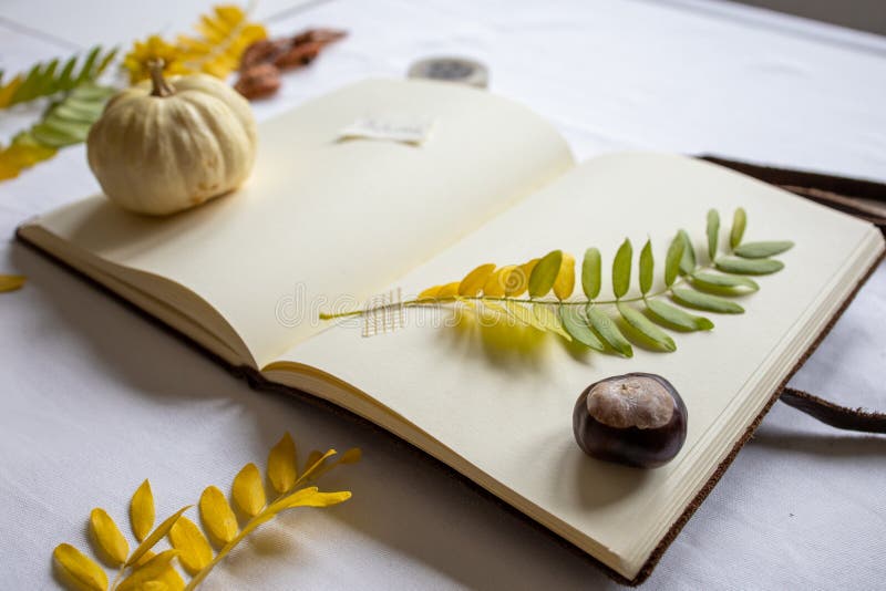 Fall Concept - Notebook Side View with Natural Fall Decoration Stock ...