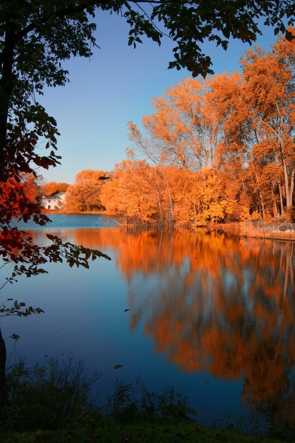 Fall Contrast stock photo. Image of lifestyle, pond, indian - 330646