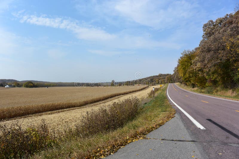 Fall Corn Harvest in Front of Mountain and Autumn Tree Colors Stock ...