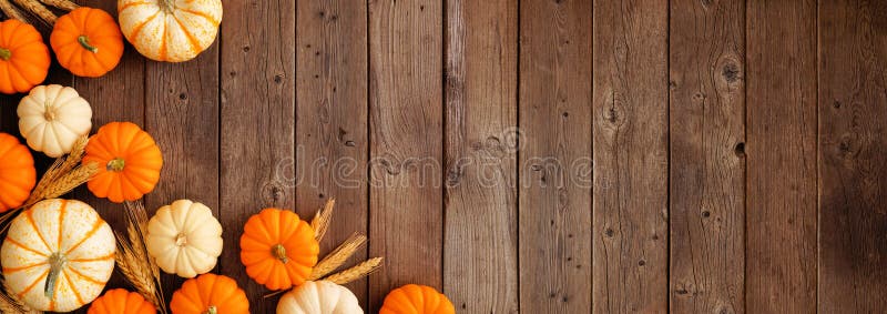 Fall Corner Border of Orange and White Pumpkins and Wheat on a Rustic ...