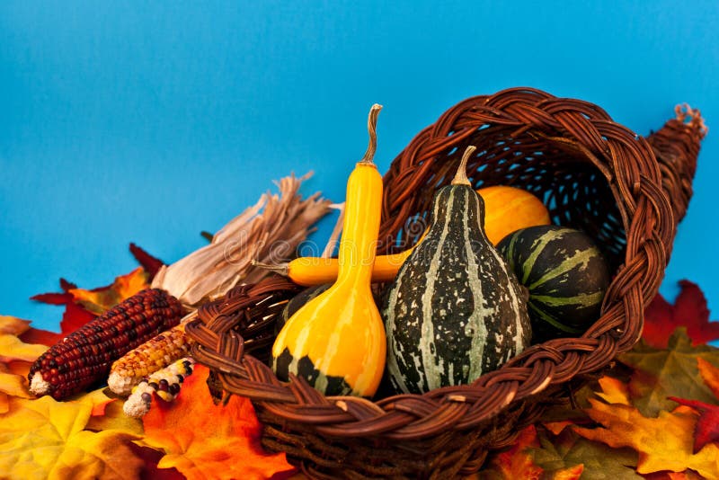 Fall Cornucopia stock image. Image of bright, horn, empty - 26501067