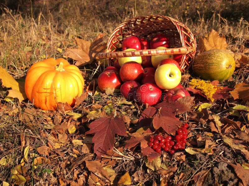 Fall cornucopia stock photo. Image of decorative, food - 45553890