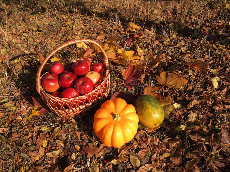 Fall cornucopia stock image. Image of holiday, abstract - 45588611