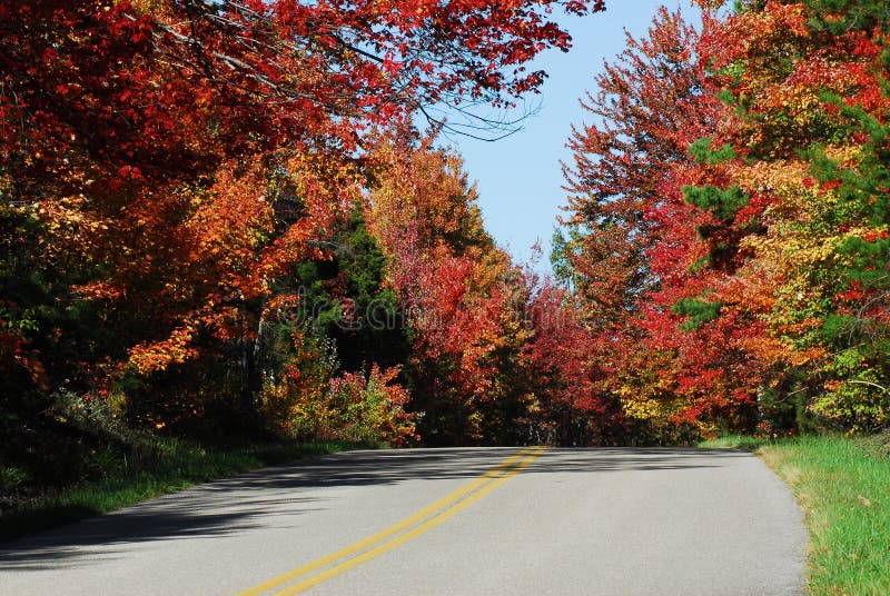 Fall Country Road stock photo. Image of trees, roads, colors - 1439324