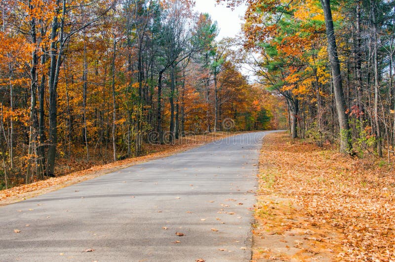 Fall Country Road stock photo. Image of autumn, outdoors - 45829166