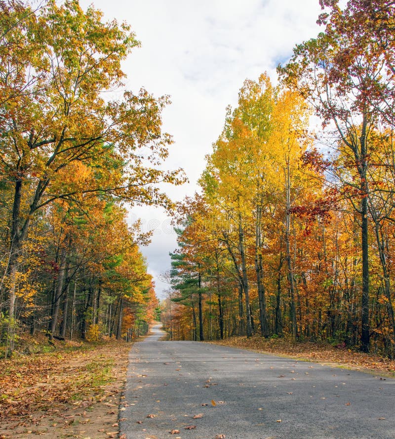 Fall Country Road stock photo. Image of foliage, fall - 45829890
