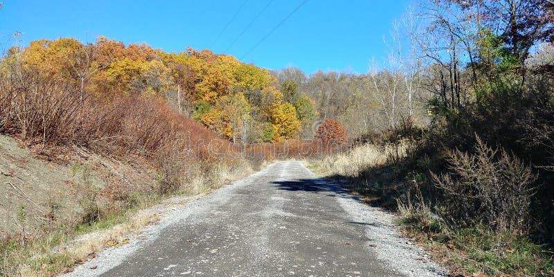 Fall Country Road stock photo. Image of trees, roads, colors - 1439324