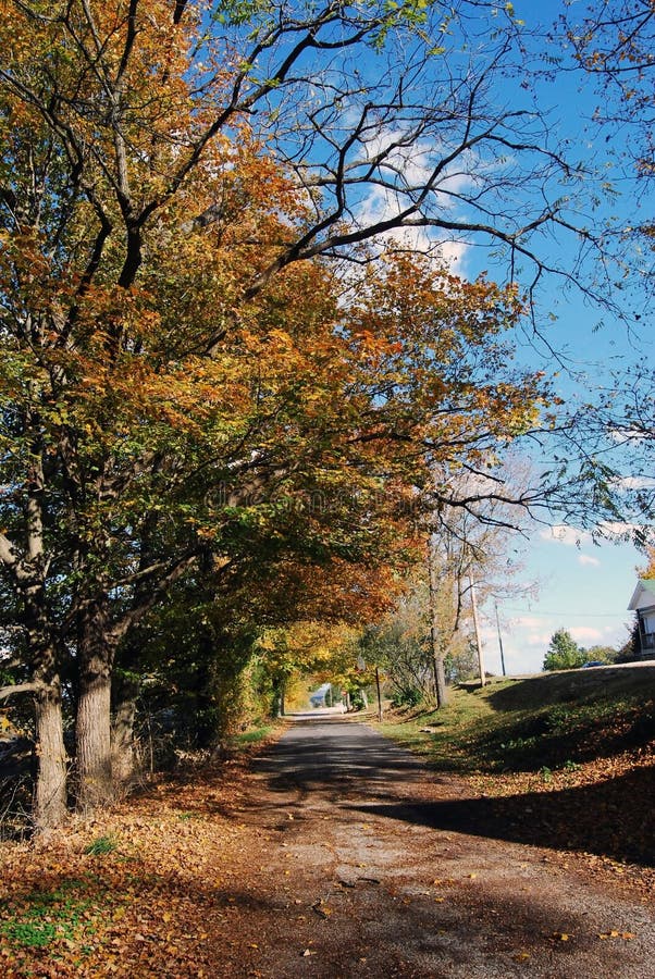 Fall in the country stock photo. Image of serenity, beautiful - 30891638
