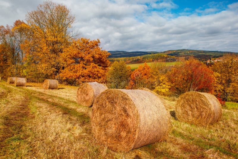 Fall in the countryside stock image. Image of czech, golden - 43720433