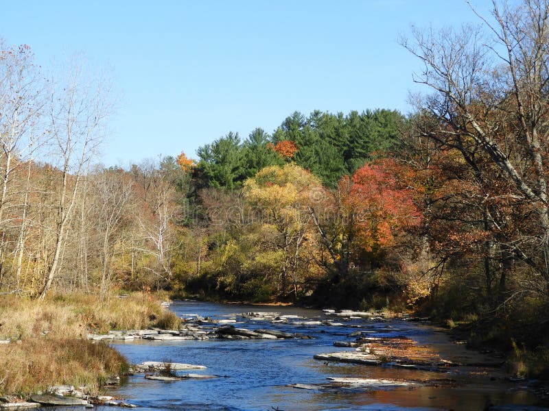 Fall Creek in Autumn Flows through Forest Home Drive Cornell University ...