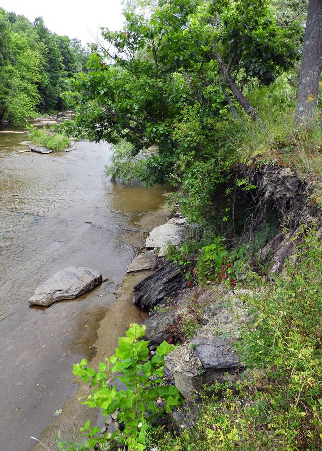Fall Creek Bordered by Erosion Along Bank Stock Image - Image of ...