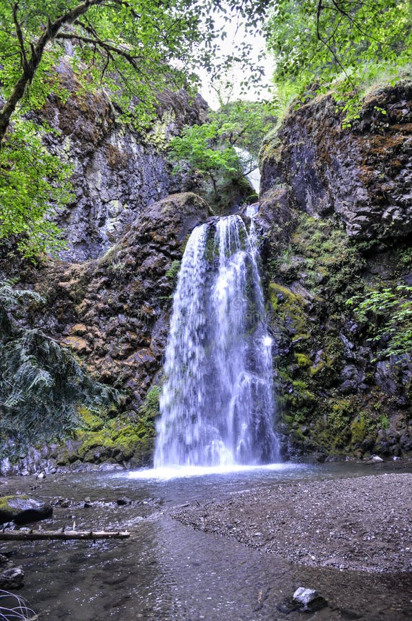 Fall Creek Falls, Oregon stock image. Image of lush, stream - 42894421